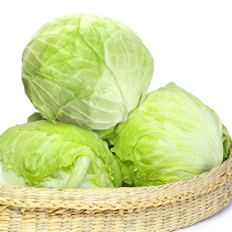 산지직송 한끼 샐러드양배추 2kg양상추 800g 홈플러스 익스프레스