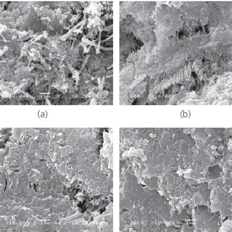 SEM images of P4S0 and P4S4 hydrated for 3 d and 28 d (amplified 10 000 ...