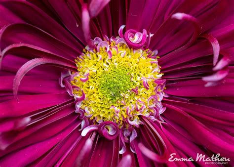 Meet Emma Bailey Canvasrebel Magazine