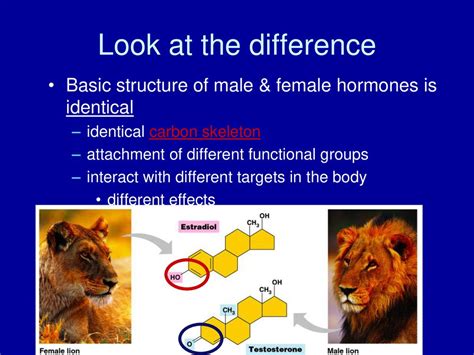 Chapter Carbon Do Now How Many Bonds Can Carbon Form Ppt Download