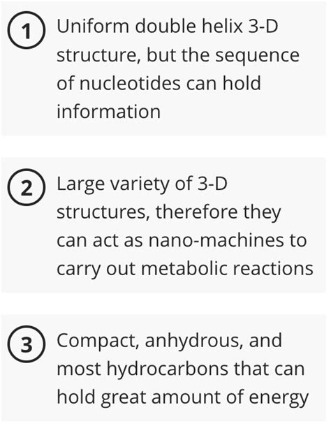 solved interpret the function of a macromolecule from its