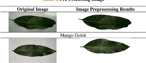 Table 1 From Comparison Of Edge Detection Methods Using Roberts And