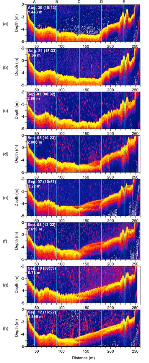 Sonar Images Of The Cross Section Surveyed During The Period From Download Scientific Diagram