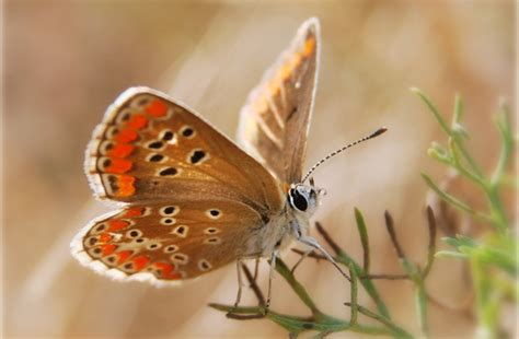 Top Design Magazine Web Design And Digital Content When Ugly Becomes