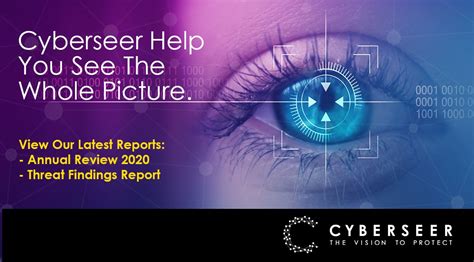 Cyberseer On Linkedin Example Threat Findings Report