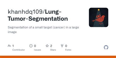 Lung Tumor Segmentation Lung Cancer Segmentation Custom Model Ipynb