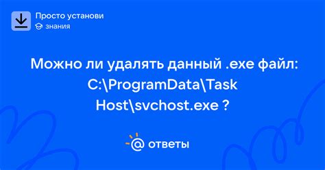 Можно ли удалять данный exe файл c programdata task host svchost exe