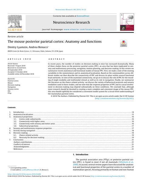 PDF The Mouse Posterior Parietal Cortex Anatomy And Functions