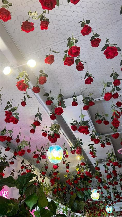 Pin By Katiana On Pins By You Hello Kitty Wallpaper Rose