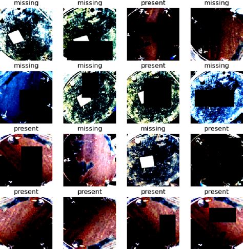 Figure 4 From Lightweight Convolutional Network With Integrated