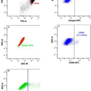 Fluorescence Activated Cells Sorting FACS Images Demonstrating The Download Scientific