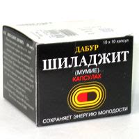 Мумие шиладжит N100 кап цена 679 руб в Москве, купить Мумие шиладжит ...