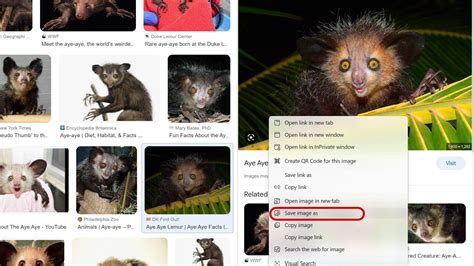 How To Download Images From Google