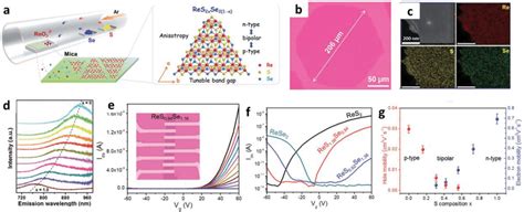 A The Schematic View Of The Synthesis System And The Structure Left Download Scientific