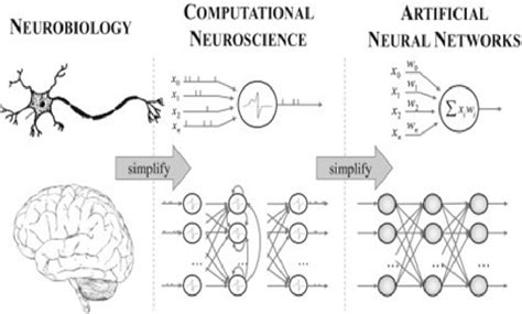 figure 1 from the parallel between artificial intelligence and