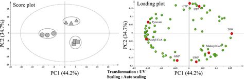 Pca Score Plot And Loading Plot For Metabolic Profiling Of J