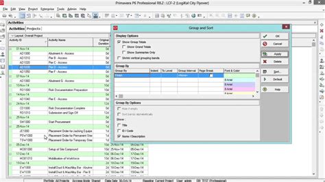 The Power Of Group And Sort In P6 Grouping By Types Youtube