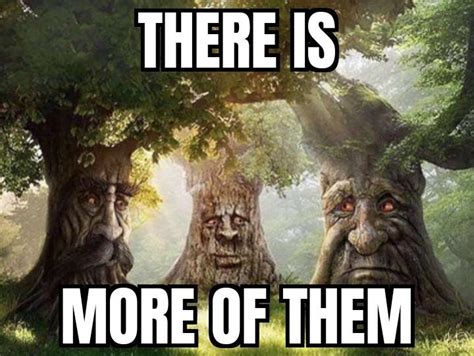 We Are FUCKED R Okbuddyretard Wise Mystical Tree If You Re Over And Own A Computer