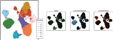 figure 1 from stochastic networks theory to model single cell genomic