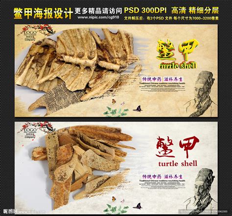 鳖甲设计图海报设计广告设计设计图库昵图网