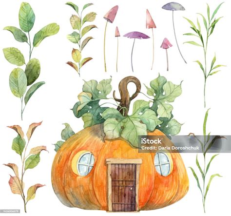 만화 호박 집과 흰색 배경에 고립 된 다양한 식물과 버섯이있는 큰 가을 컬렉션 수채화 손 페인트 그림 버섯에 대한 스톡 벡터 아트 및 기타 이미지 Istock