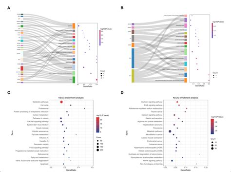 Figure Kegg Pathway Enrichment Analysis Of Key Module A Go Analysis Download Scientific