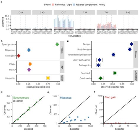 Mutability And Constraint In The Human Mtdna A Trinucleotide