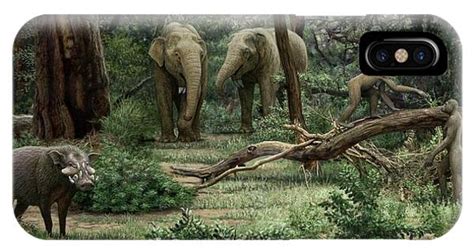 Ardipithecus Ramidus Landscape Photograph By Mauricio Anton