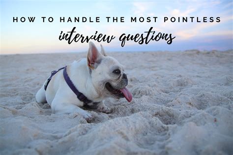How To Handle The Most Pointless Interview Questions Panash Passion