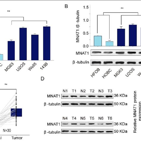 A The Drug Loading Efficiency Le And Encapsulation Efficiency Ee Download Scientific