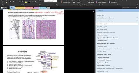 Onenote Notes Example Album On Imgur