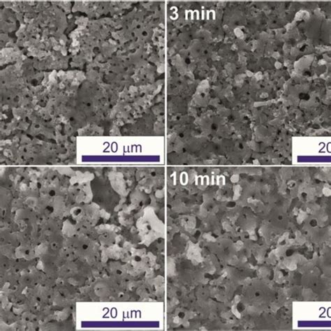 Sem Micrographs Lower Magnification Showing Surface Morphology Of The