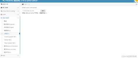 Sql注入（二）picachu 字符型搜索型 Xx型insertupdatepikachusqlxx型 Csdn博客