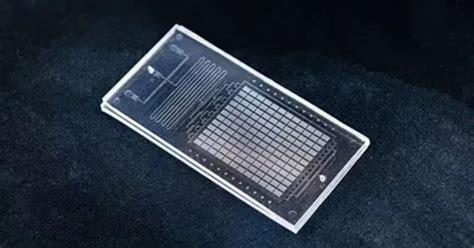 Polydimethylsiloxane Pdms In Microfluidics A Comprehensive Guide Aline