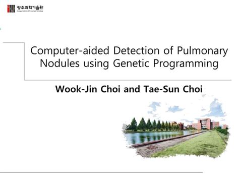computer aided detection of pulmonary nodules using genetic programming