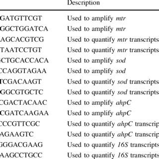 Primer Used In This Study Download Table