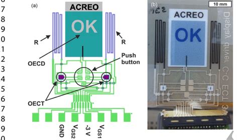 Screen Printed And Monolithically Integrated Display Driver Circuit And
