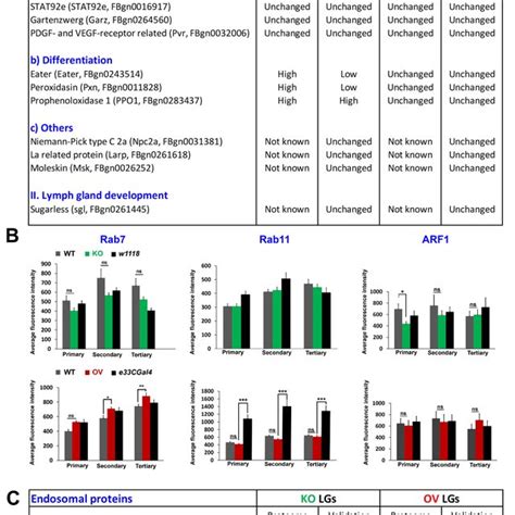 Functional Enrichment Analysis Bar Plots Representing Gene Ontology