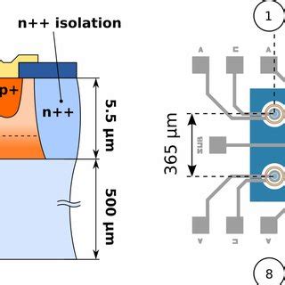 Cross Section Of The Planar SPAD Structure A And Layout Of The SPAD Download Scientific