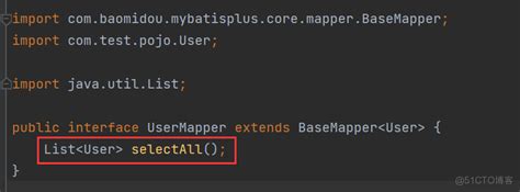 Springboot 集成 Mybatisplus 十一——sql注入器156881887的技术博客51cto博客