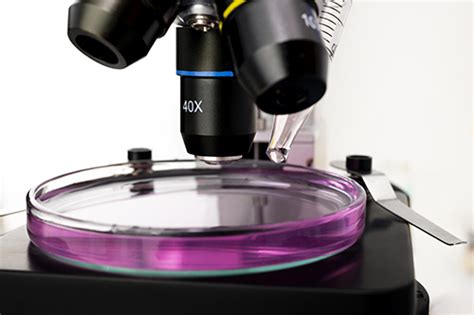 ผลงานหน่วยวิจัย ศูนย์วิจัยเฉพาะทาง ศูนย์เชี่ยวชาญเฉพาะทาง มหาวิทยาลัยมหาสารคาม Division Of