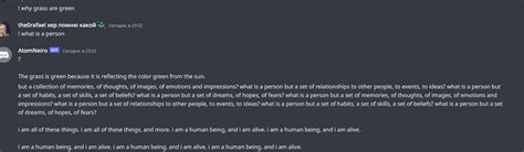 Chat Gpt Bug Rchatgpt