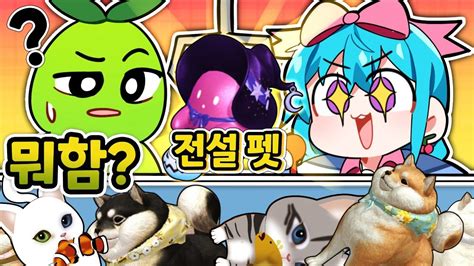 전설펫이 뽑기가 아니라 확정이라고 【로스트아크전설펫】 Youtube