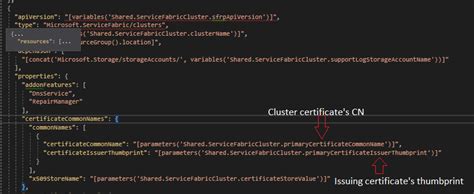 [certificate issue] service fabric stuck on “waiting for nodes