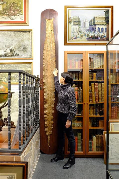 1952 Piel De Serpiente Python Reticulatus Historia Natural Con