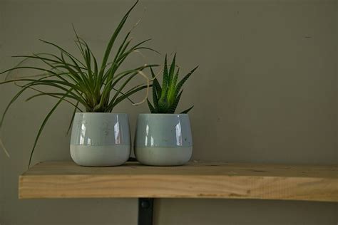 What S The Difference Between Planters And Pots Here Is All You Need To Know Pots Planters
