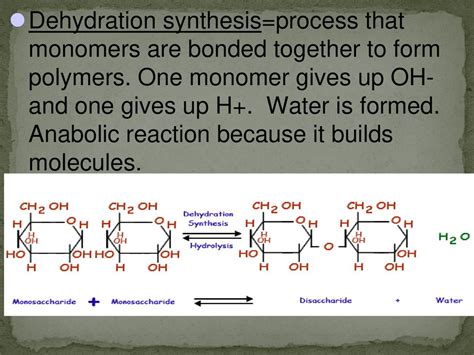 Carbohydratescarbon Water 1st Macromolecule Ppt Download