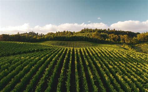 Big Data And Cloud In Vertical Farming Based Iot