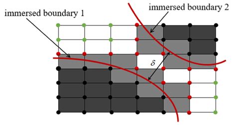 Schematic Diagram Of Multiple Immersed Boundaries Download Scientific