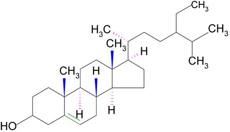 Chemical Structure Of β Sitosterol Download Scientific Diagram